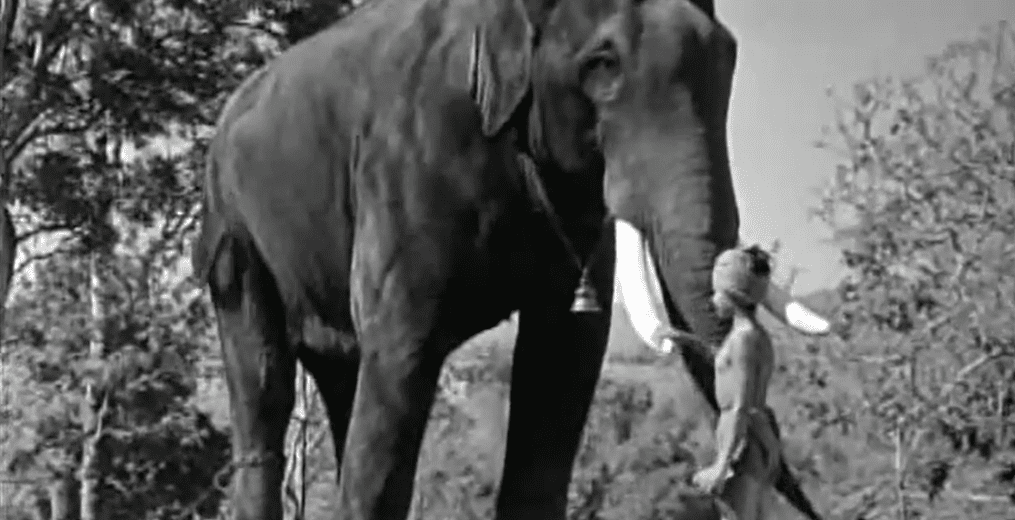 Adventurous Facts About Sabu, India's First Hollywood Star - Factinate