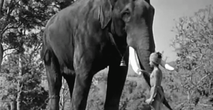 Adventurous Facts About Sabu, India's First Hollywood Star - Factinate