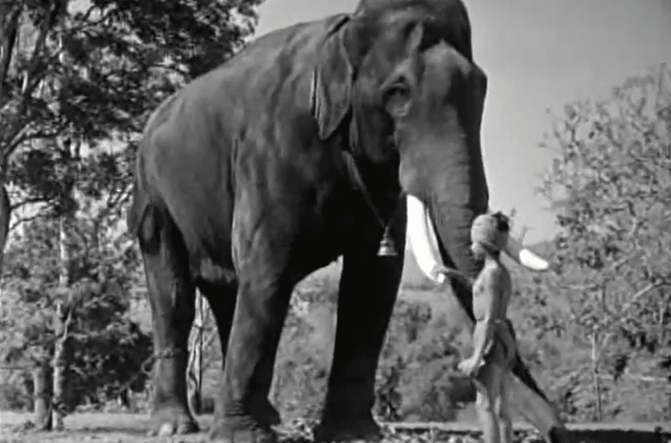 Adventurous Facts About Sabu, India's First Hollywood Star - Factinate