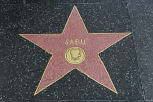 The Heartbreaking Life Of Sabu, The First Indian Superstar