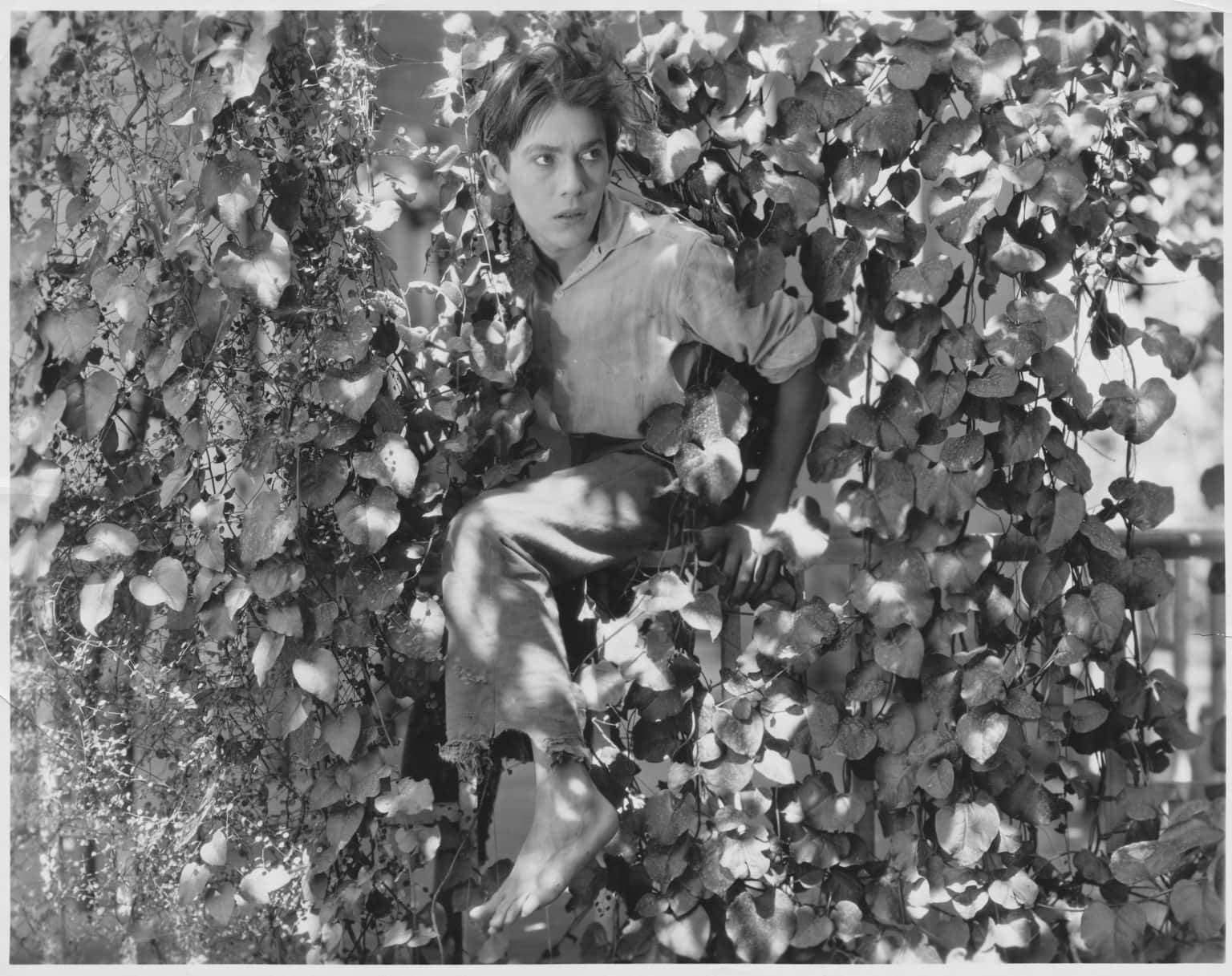 Untamed Facts About Olive Thomas, The First Tragic Star