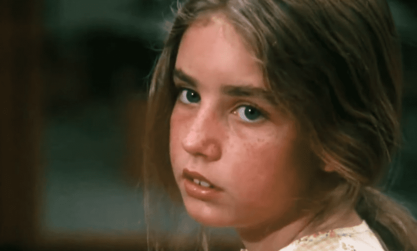 Arresting Facts About Dana Plato, Good Girl Gone Wild - Factinate