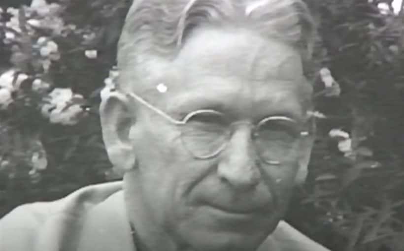 Heartbreaking Facts About Ann Miller, The Star-Crossed Dancing ...