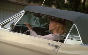 Unspeakable Facts About Dorothy Stratten, The Tragic Centerfold