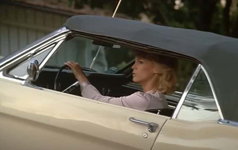 Unspeakable Facts About Dorothy Stratten, The Tragic Centerfold