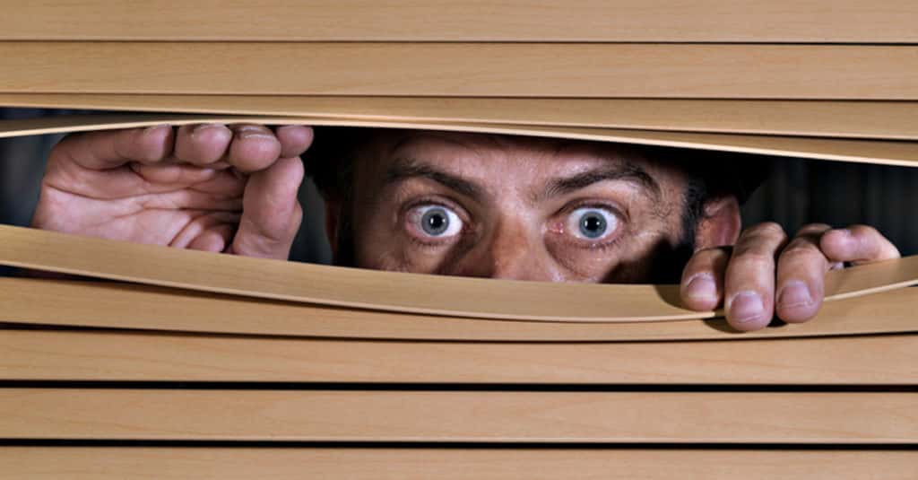 Flipboard Experiences Archives - Factinate