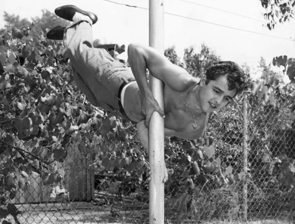 Troubled Facts About Sal Mineo, Hollywood’s Tragic Tough Guy