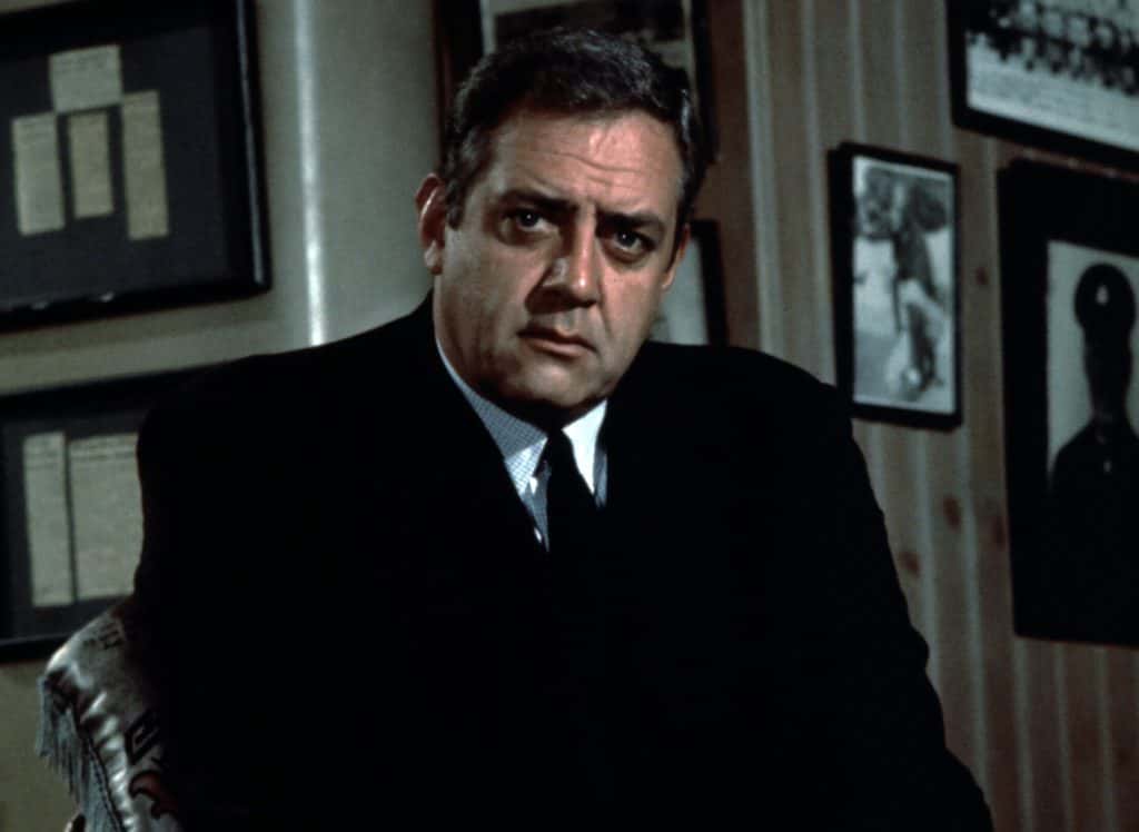 Dubious Facts About Raymond Burr, The Man Of A Thousand Lies