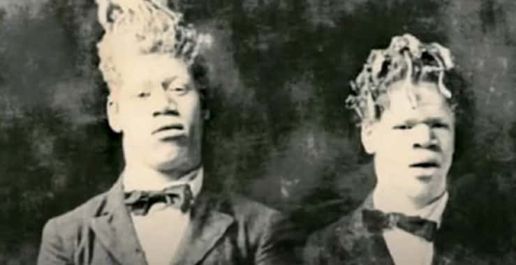 Twisted Facts About the Muse Brothers, The Heartbreaking Circus Act ...