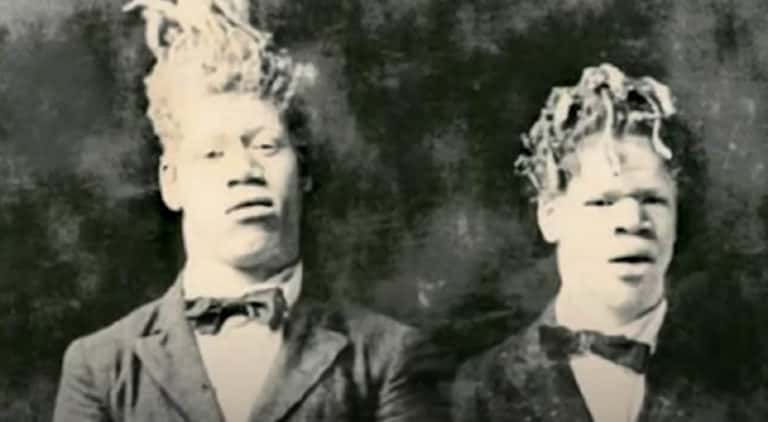 This Exploited Circus Act Got Their Revenge