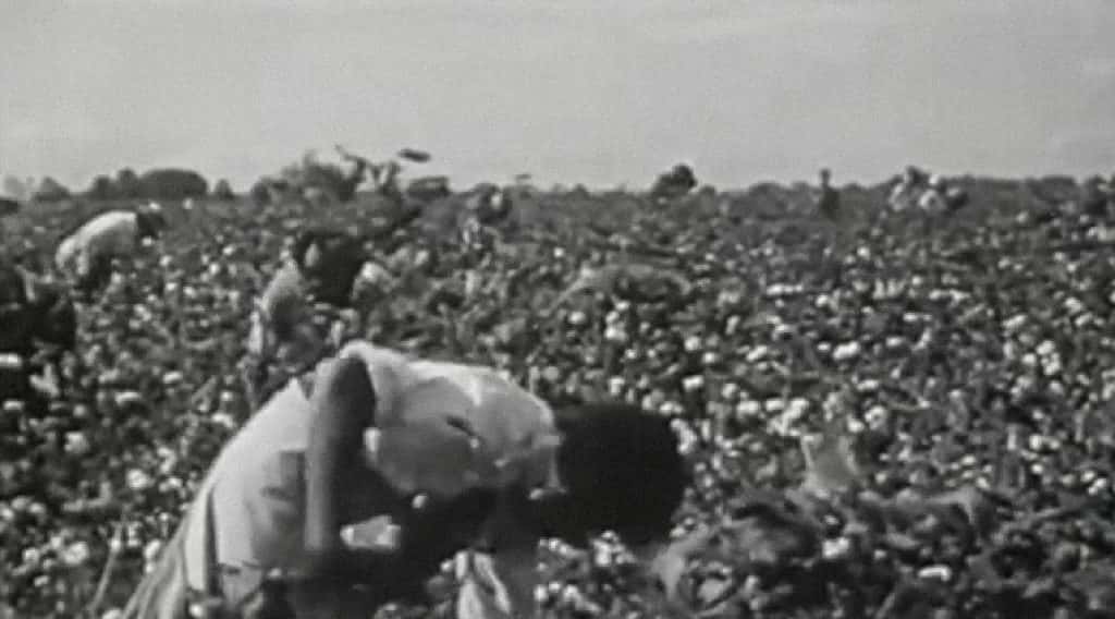 This Exploited Circus Act Got Their Revenge