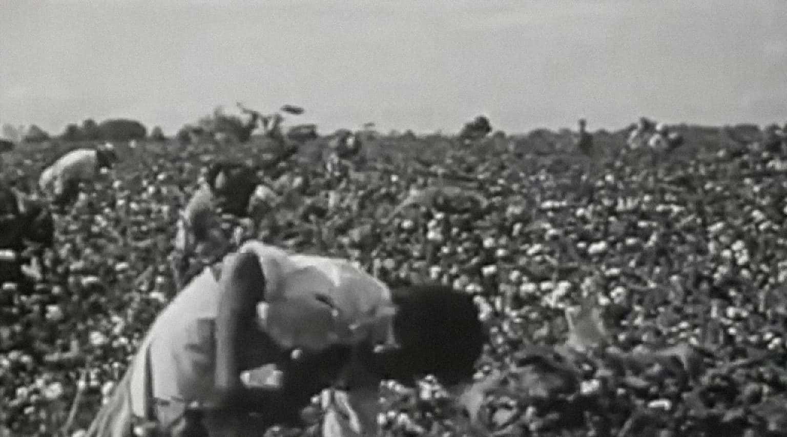 This Exploited Circus Act Got Their Revenge