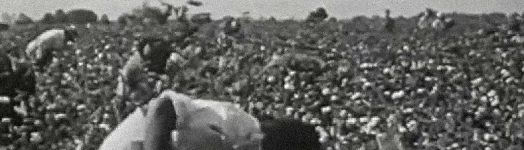 Twisted Facts About the Muse Brothers, The Heartbreaking Circus Act ...