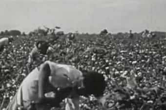 Twisted Facts About the Muse Brothers, The Heartbreaking Circus Act ...