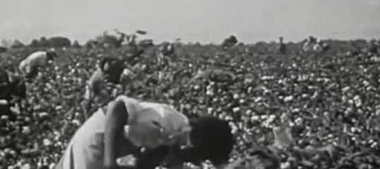 Twisted Facts About the Muse Brothers, The Heartbreaking Circus Act ...