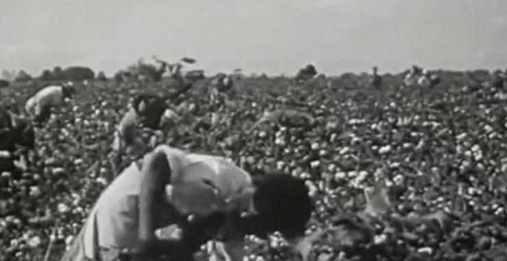 Twisted Facts About the Muse Brothers, The Heartbreaking Circus Act ...