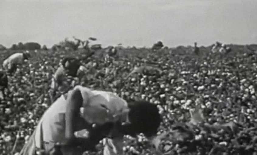 Twisted Facts About the Muse Brothers, The Heartbreaking Circus Act ...