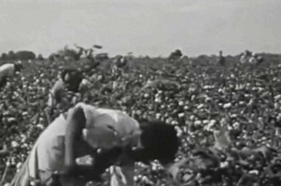 Twisted Facts About the Muse Brothers, The Heartbreaking Circus Act ...