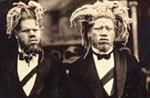 This Exploited Circus Act Got Their Revenge