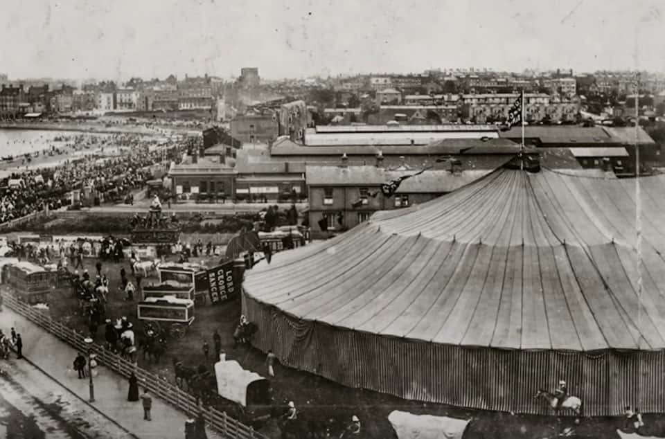 Twisted Facts About the Muse Brothers, The Heartbreaking Circus Act ...