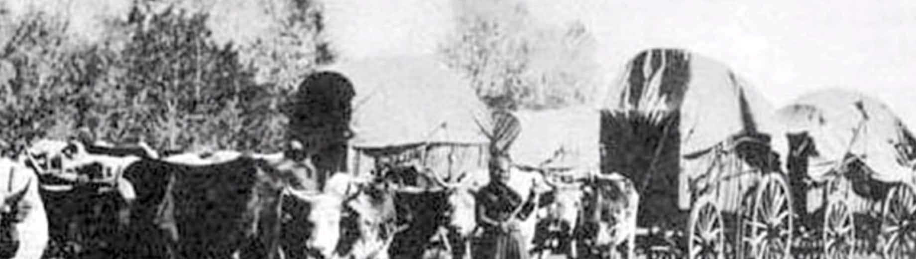 Chilling Facts About Olive Oatman, The Tattooed Captive - Factinate