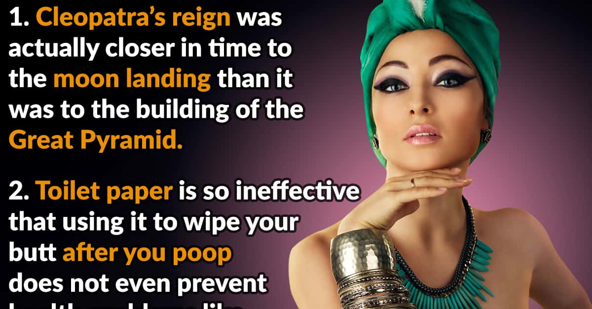 42 Fun Facts For People Who Love To Learn - Factinate