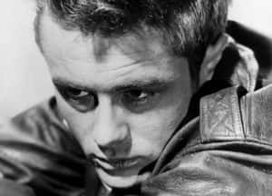 Strange Facts of Nick Adams, The Enigmatic Celebrity