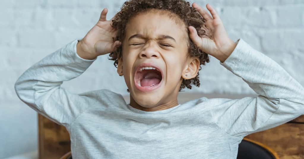 Experience Archives - Factinate