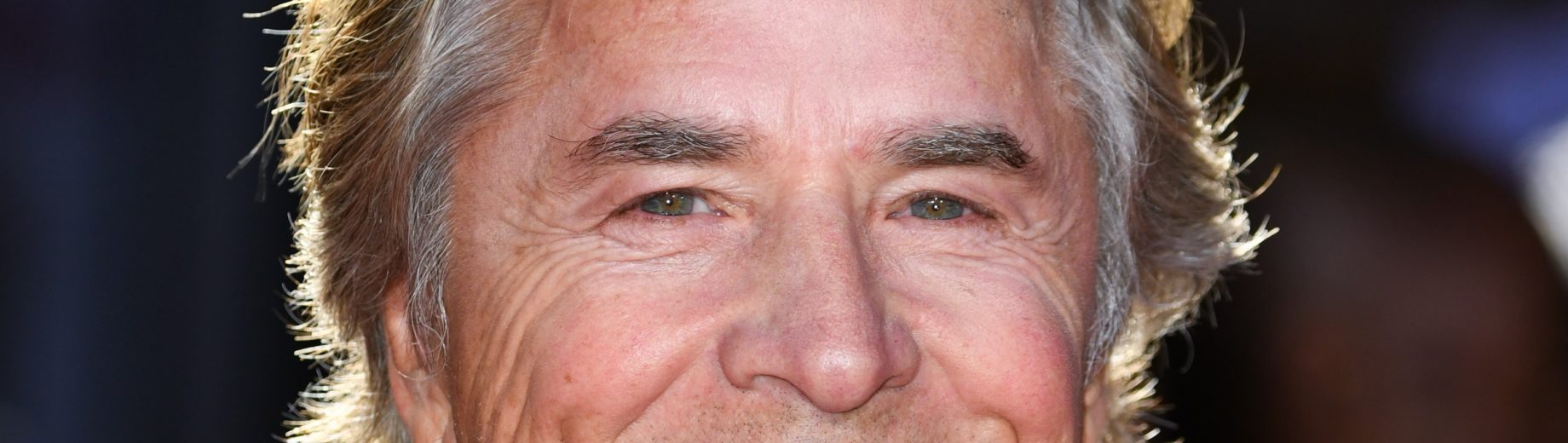 Whirlwind Facts About Don Johnson, Hollywood's Lost Soul - Factinate