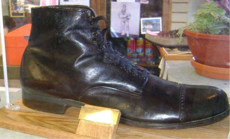 The Extraordinary Life Of Robert Wadlow