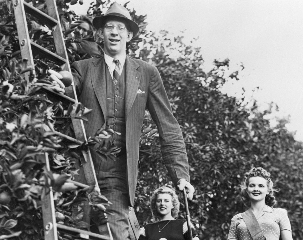 The Extraordinary Life Of Robert Wadlow