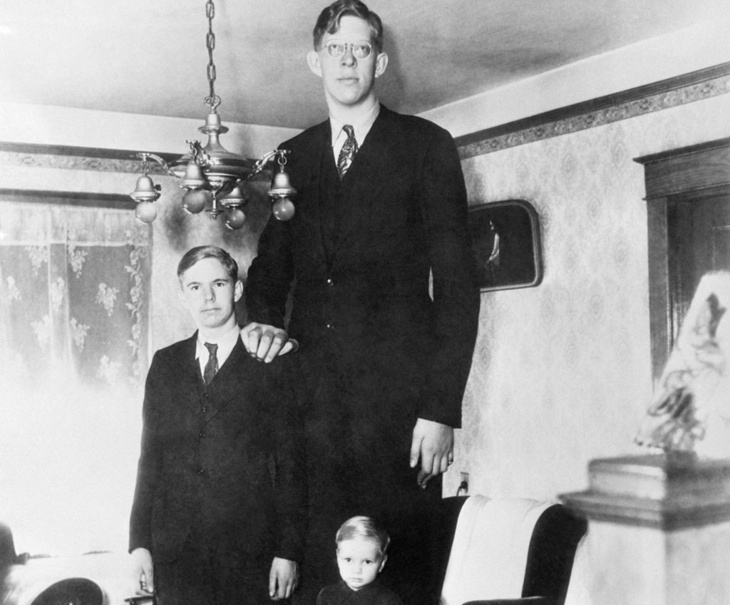 The Extraordinary Life Of Robert Wadlow