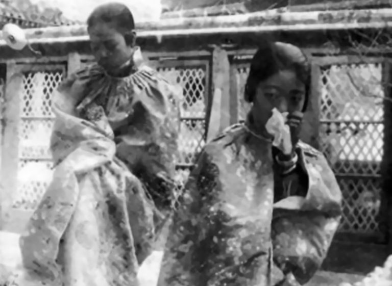 Wenxiu Lived A Broken Fairy Tale