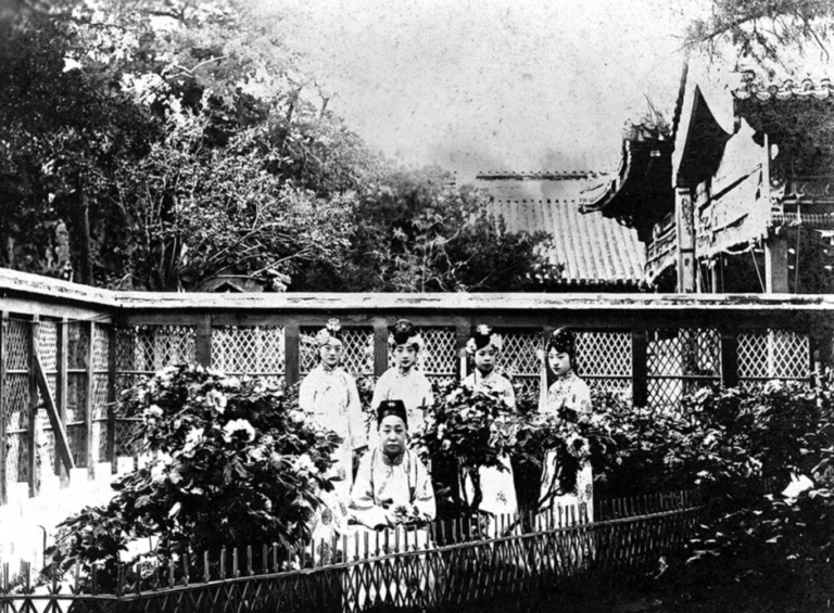 The Last Consort Of China