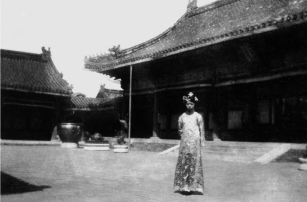 The Last Consort Of China