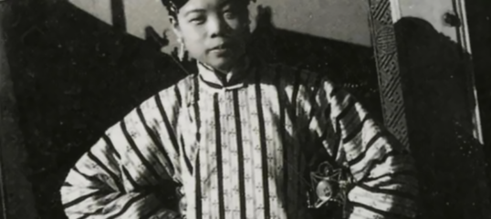 Tragic Facts About Wenxiu, The Last Consort Of China - Factinate