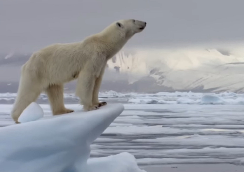 Things You Didn't Know About The Planet Earth TV Series