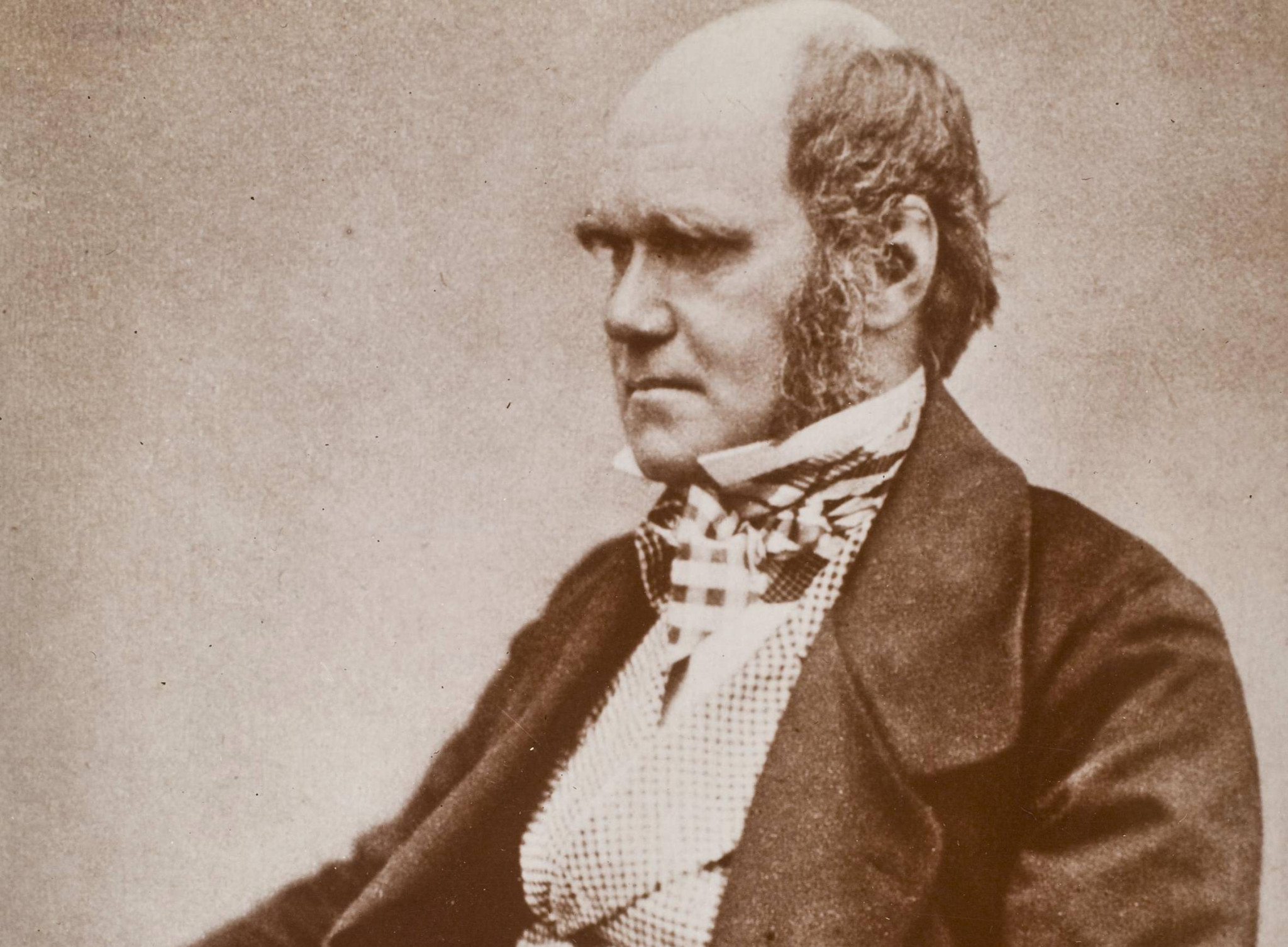 Unprecedented Facts About Charles Darwin, The Father Of Evolution