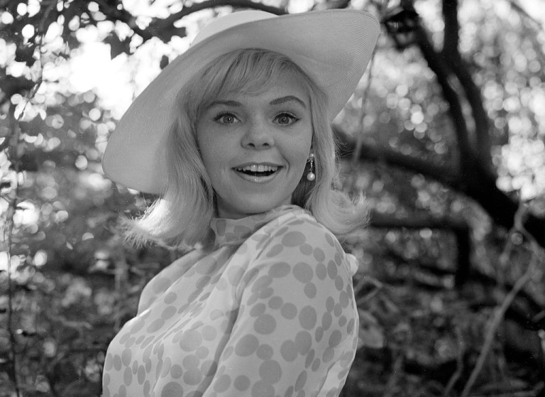 Facts About Jenny Maxwell, The Mini Marilyn Monroe