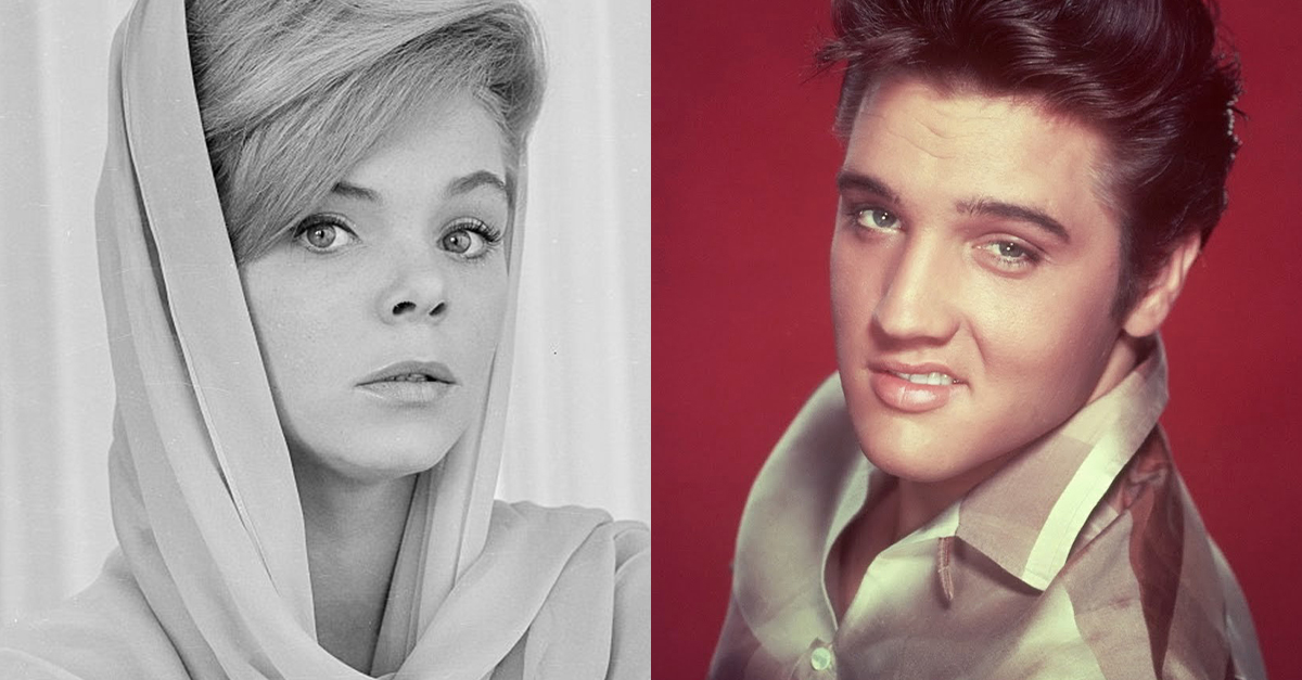 Facts About Jenny Maxwell, The Mini Marilyn Monroe