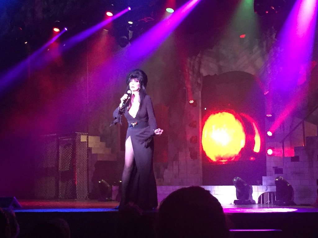 Facts About Cassandra Peterson, The Real Elvira