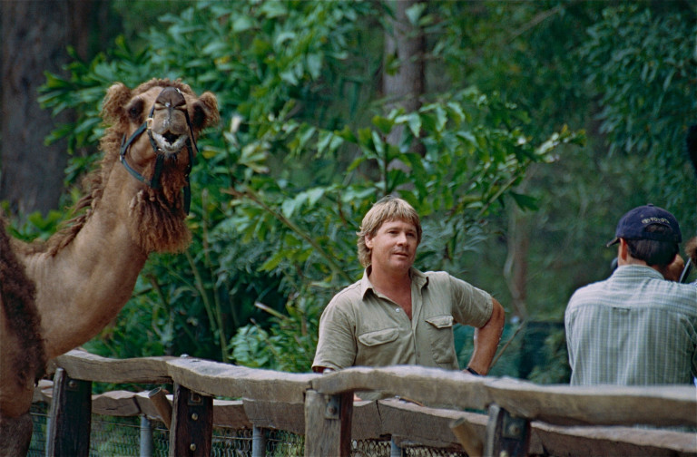 Steve Irwin, The Crocodile Hunter