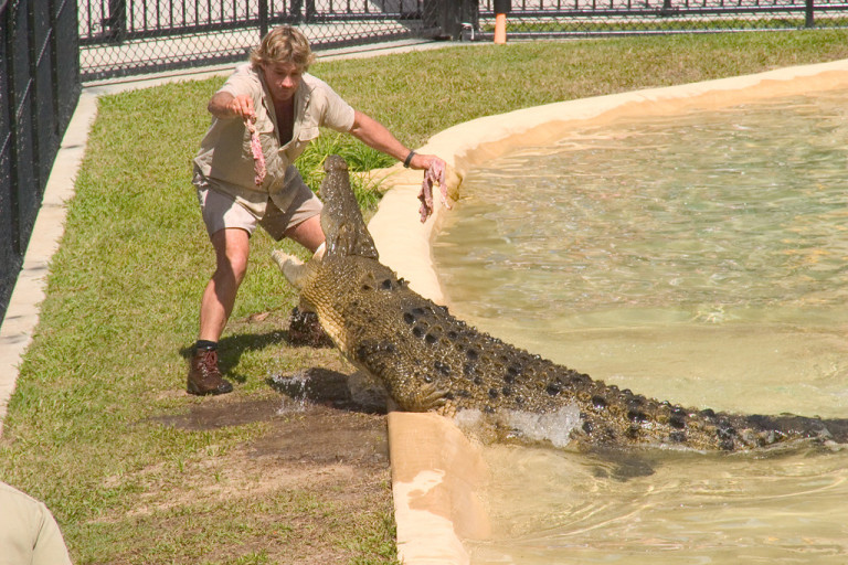 Steve Irwin, The Crocodile Hunter