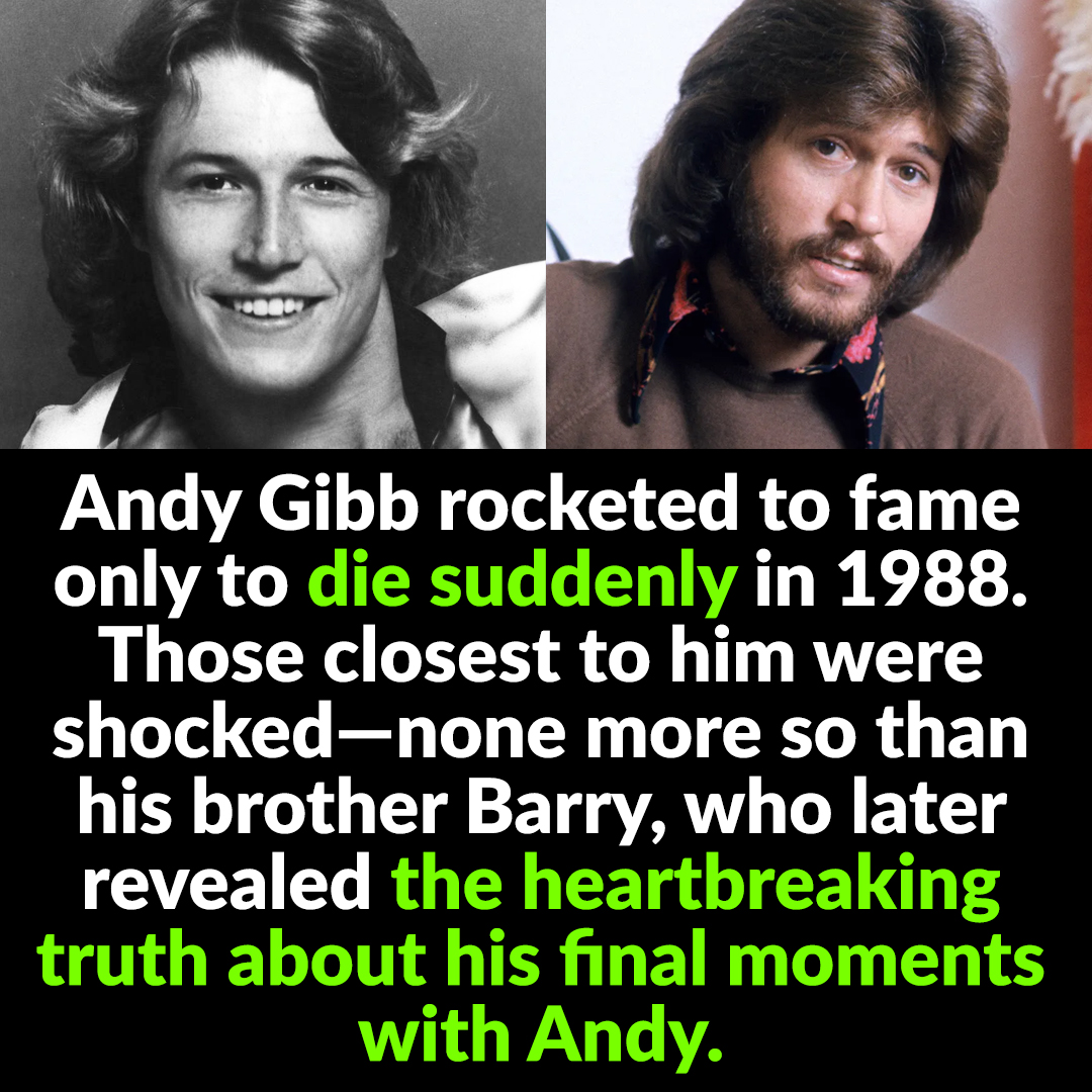Andy Gibb Hid A Twisted And Tragic Secret Life
