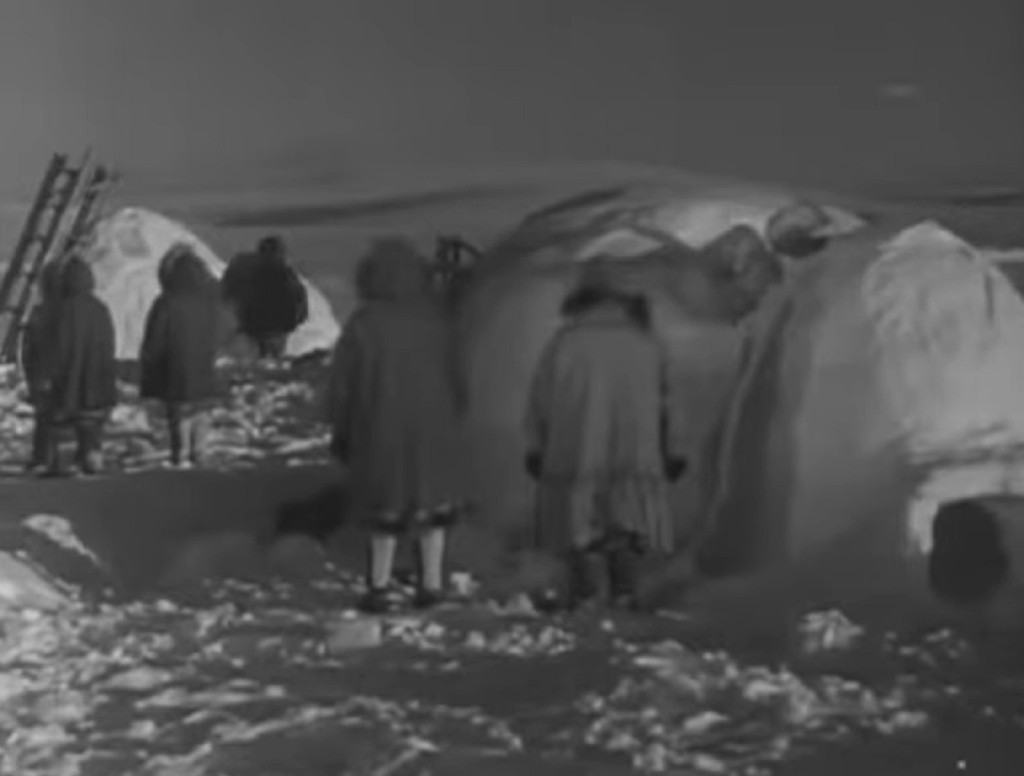 The Arctic Explorer Who Survived The Impossible