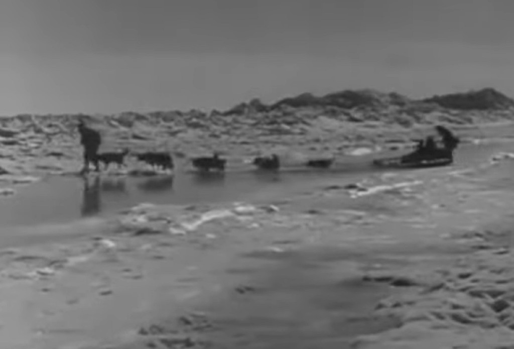 The Arctic Explorer Who Survived The Impossible