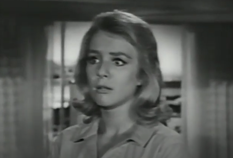 The Short And Troubled Life Of Inger Stevens