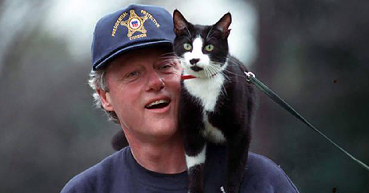 Presidential Pets: The Weird & Wonderful Animals Of The White House