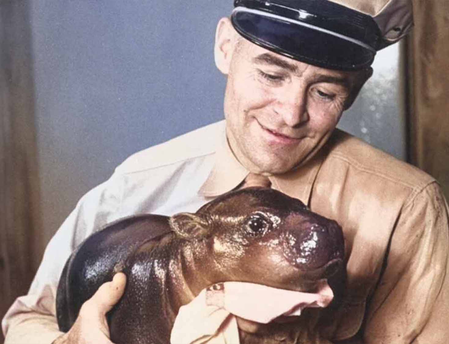 The Heartwarming Story Of The Original Moo Deng