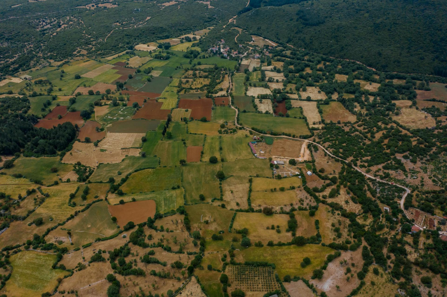 How Climate Change Is Predicted To Affect Our World In 2025